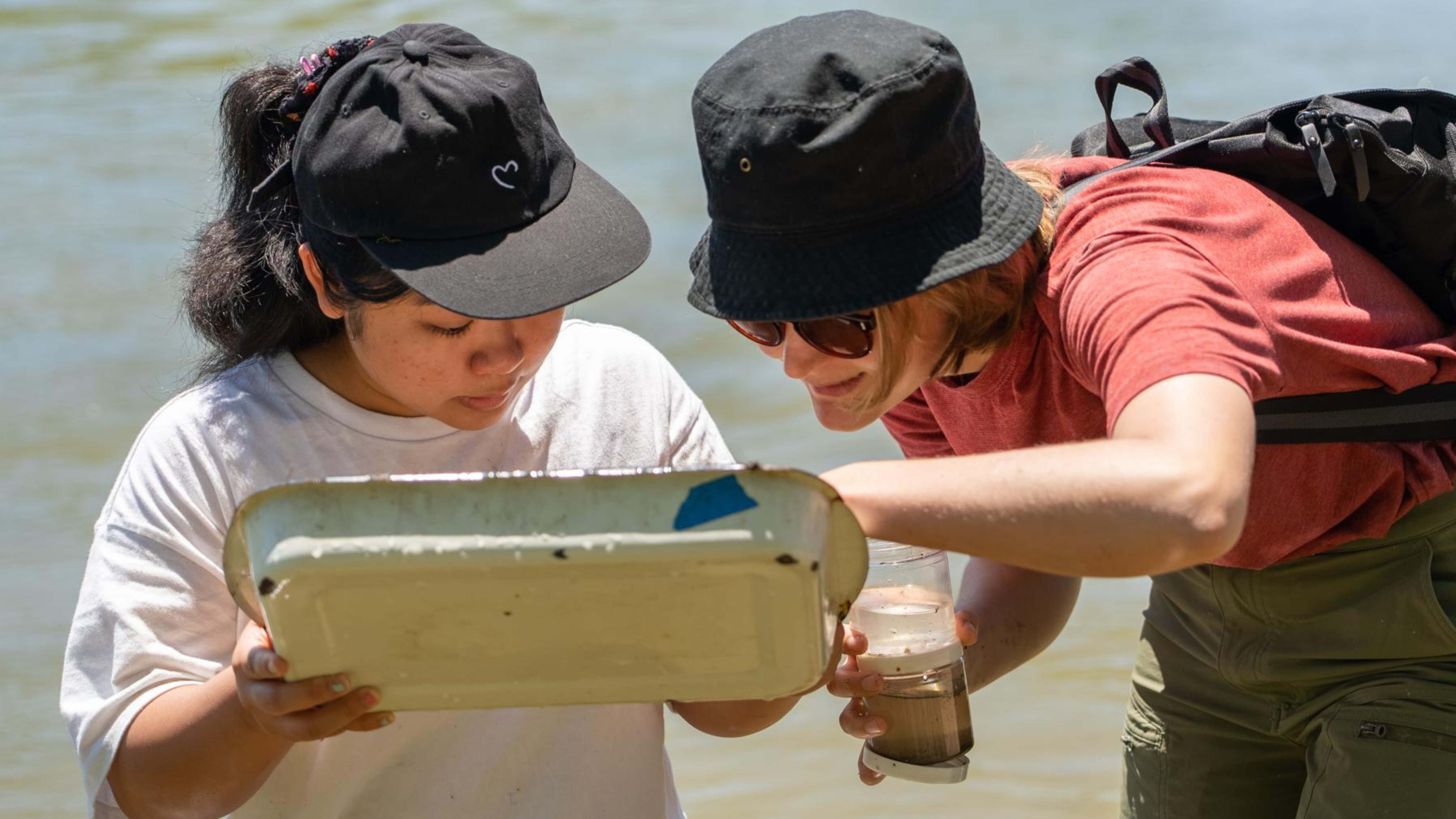 Field Epidemiology | Cedar Point Biological Station | Nebraska