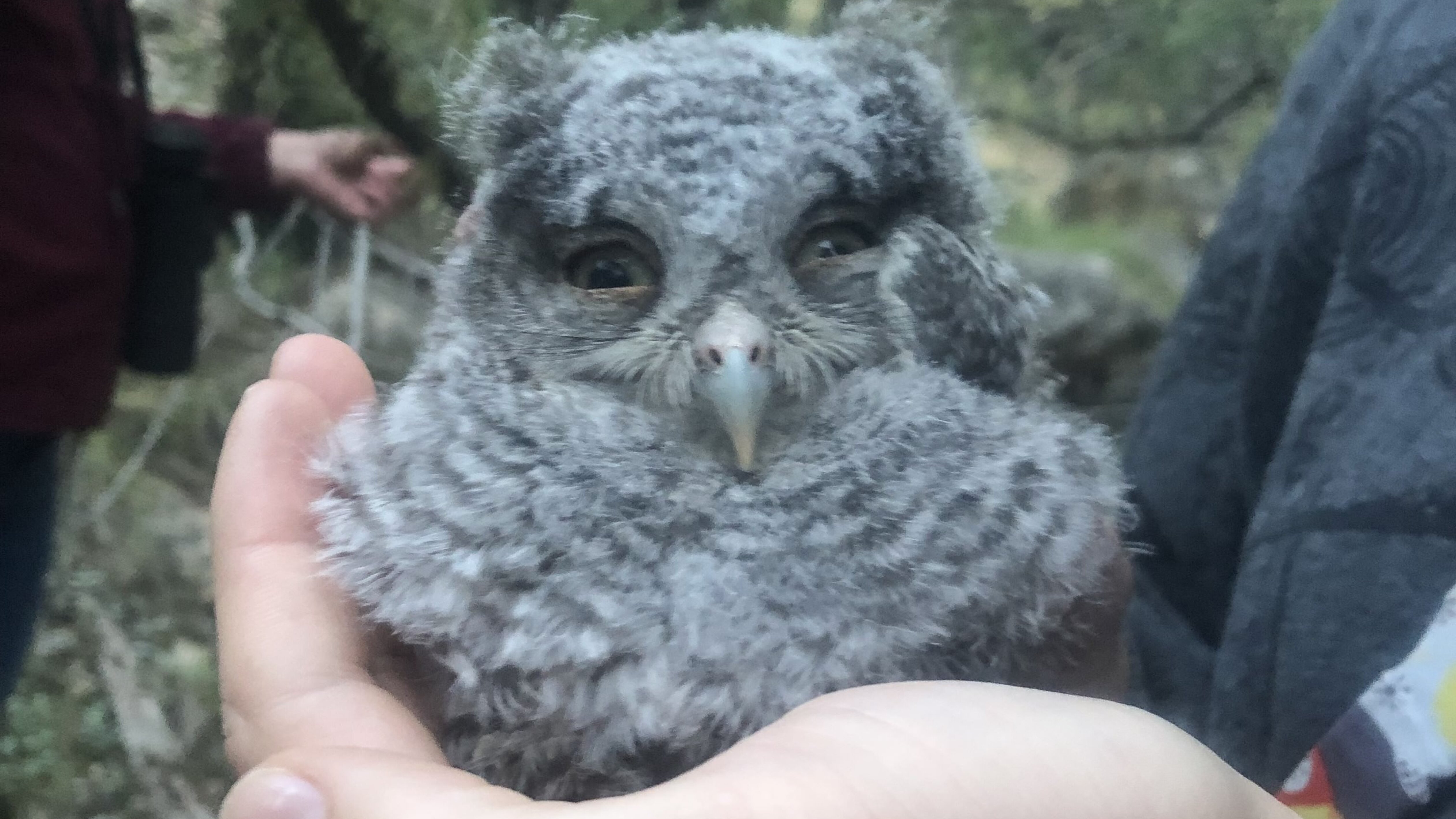Avian Biology | Cedar Point Biological Station | Nebraska