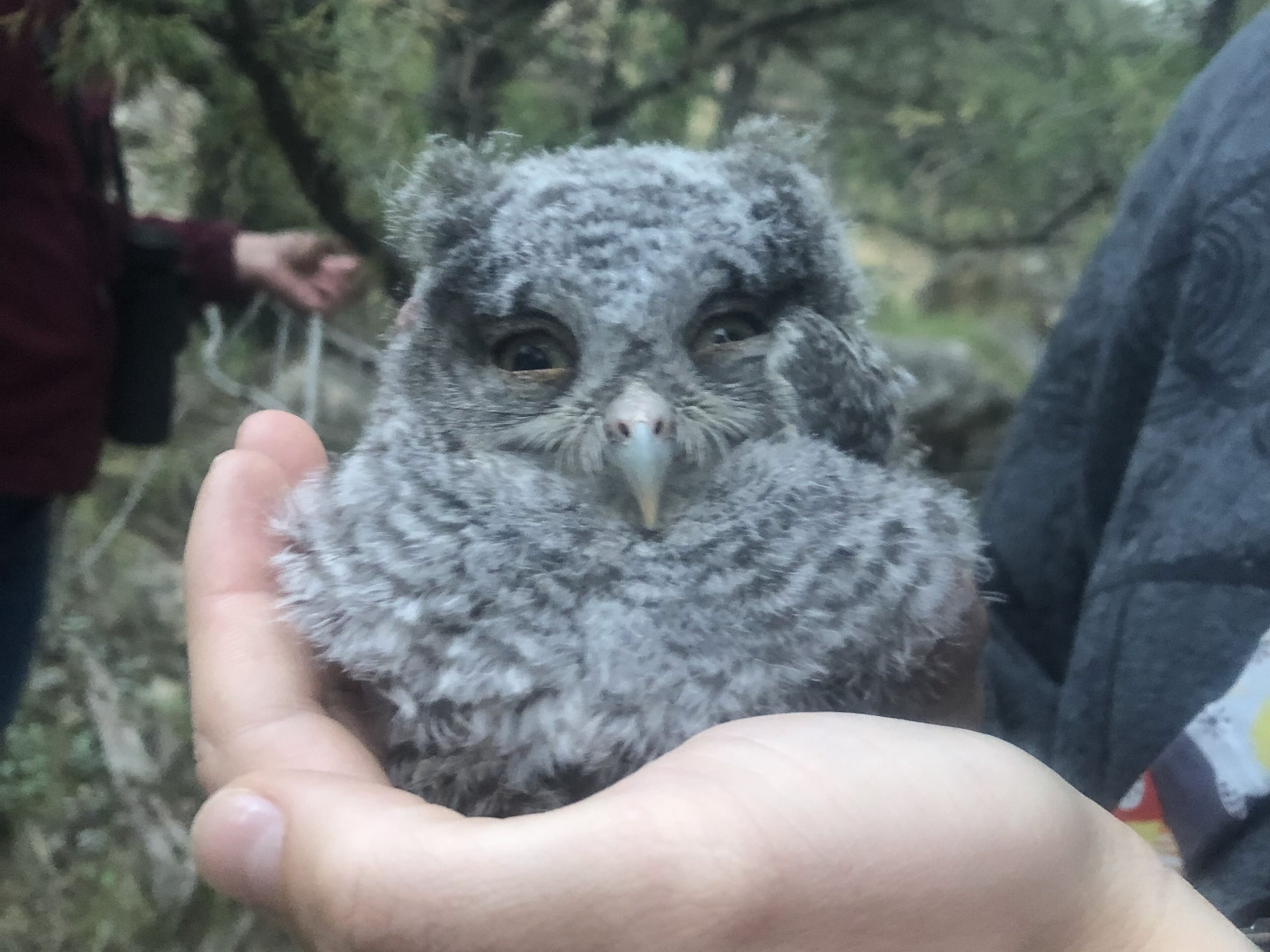 Avian Biology | Cedar Point Biological Station | Nebraska